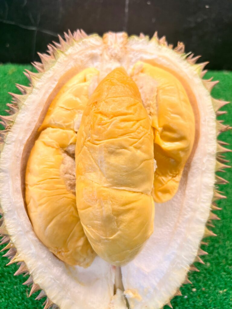 D164 Khun Poh Ang Bak 坤宝红肉 (3 x 400g) - Golden Moments | Singapore